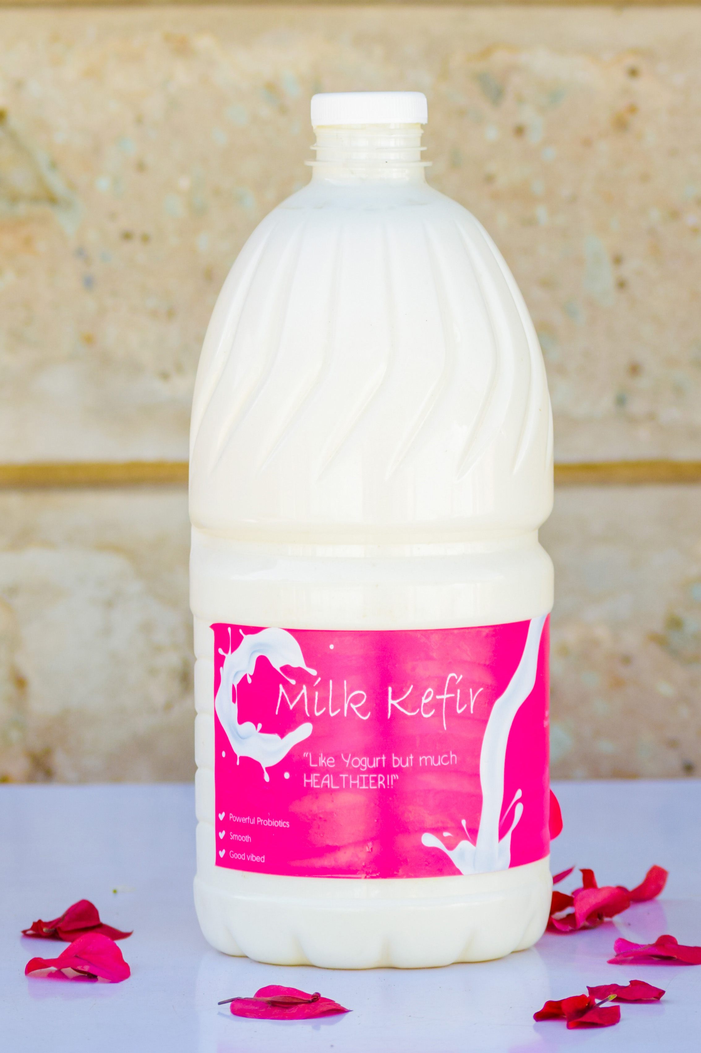 Plain Milk Kefir | Kombucha Kenya